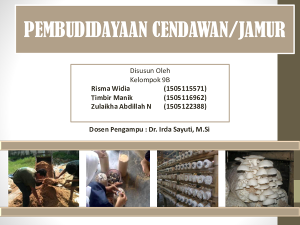 (PPT) Ppt budidaya jamur