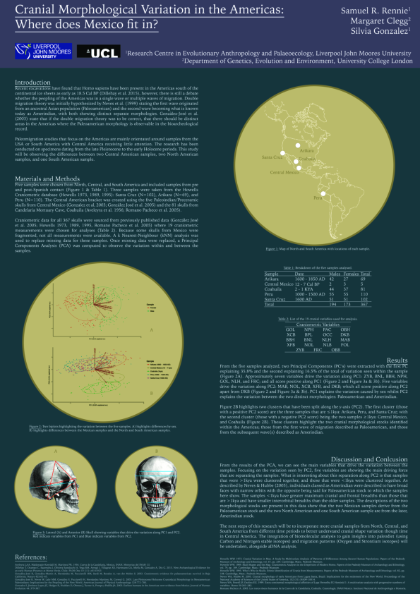 (PDF) Cranial Morphological Variation in the Americas: Where does ...