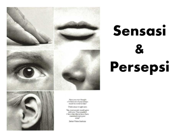(PDF) Sensasi & Persepsi