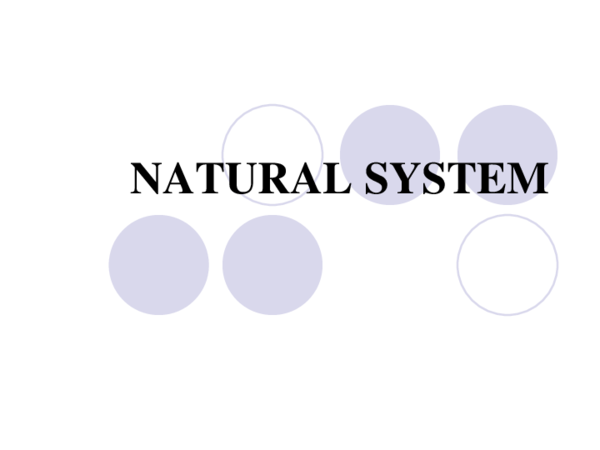 (PDF) NATURAL SYSTEM