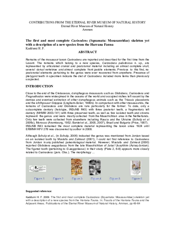 (PDF) The first and most complete Carinodens (Squamata: Mosasauridae ...