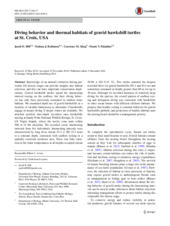 (PDF) Diving behavior and thermal habitats of gravid hawksbill turtles ...