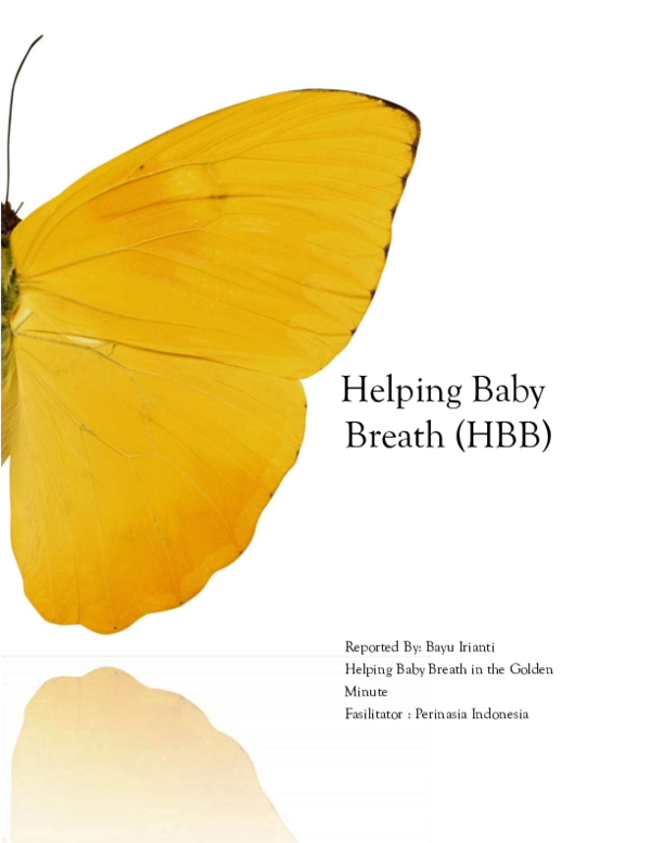 (PDF) Helping Baby Breath (HBB)