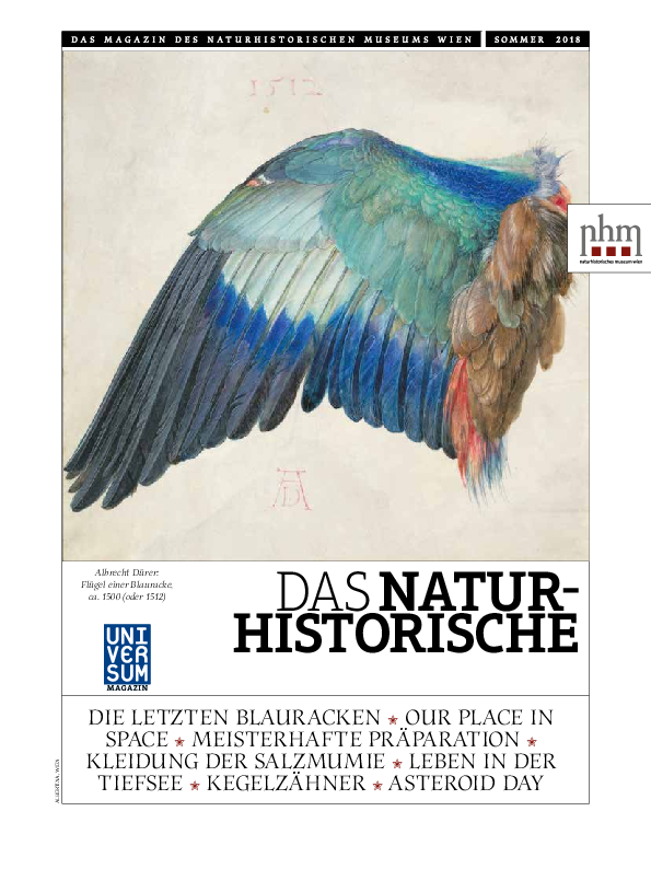 (PDF) Kleidungs- und Textilgeschichte aus dem Salz. Forschungen im ...