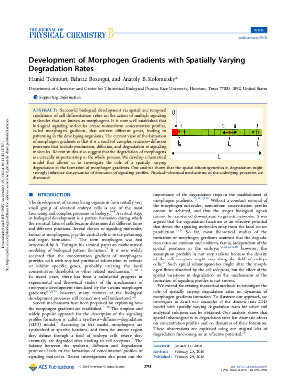 (PDF) Development of Morphogen Gradients with Spatially Varying ...