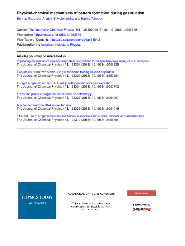 (PDF) Physical-chemical mechanisms of pattern formation during ...