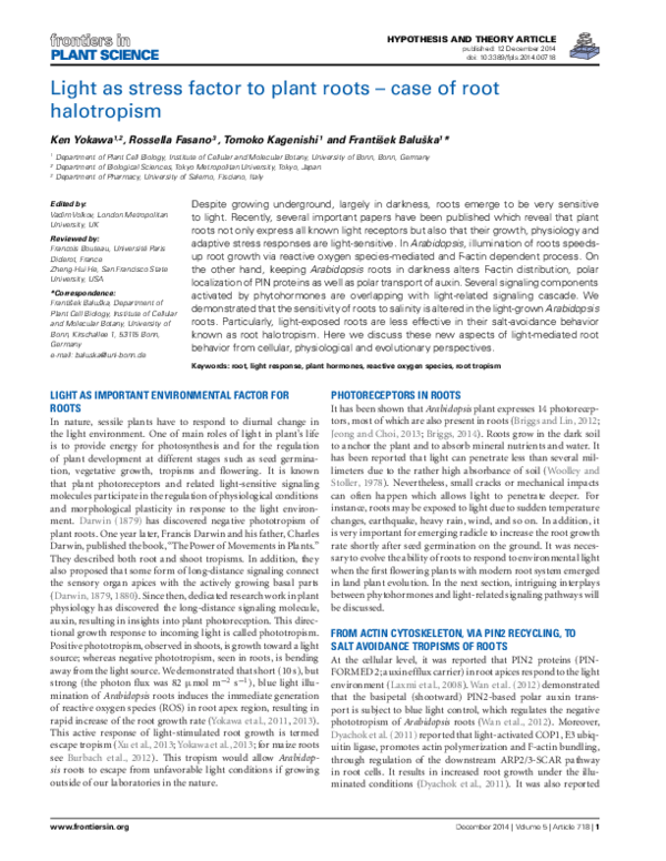 (PDF) Light as Stress Factor to Plant Roots – Case of Root Halotropism