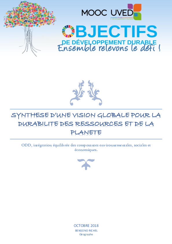 (PDF) SYNTHESE D'UNE VISION GLOBALE POUR LA DURABILITE DES RESSOURCES ...