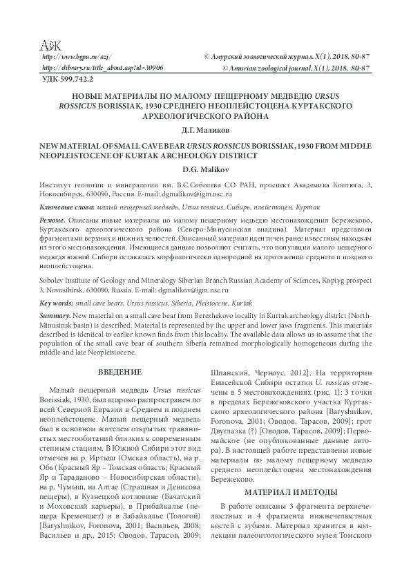(PDF) Новые материалы по малому пещерному медведю Ursus rossicus ...