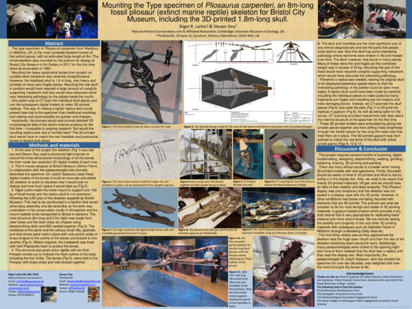 (PDF) Mounting the Type specimen of Pliosaurus carpenteri , an 8m-long ...