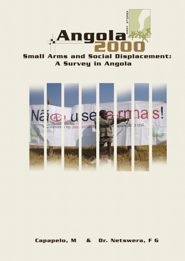 (PDF) Small arms and social displacement: A survery in Angola