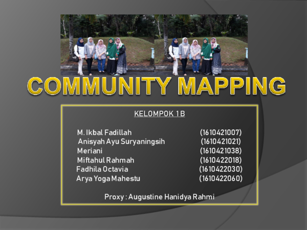 (PDF) COMMUNITY MAPPING