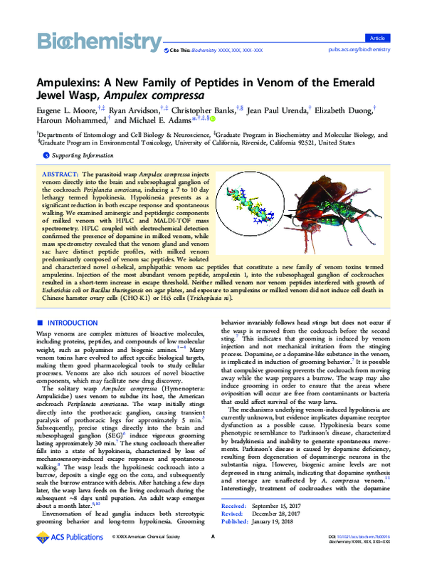 (PDF) Ampulexins: A New Family of Peptides in Venom of the Emerald ...