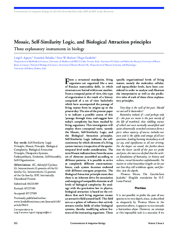 (PDF) Mosaic, self-similarity logic, and biological attraction ...