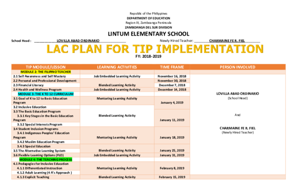 (DOC) TIP MODULE/LESSON LEARNING ACTIVITIES TIME FRAME PERSON INVOLVED ...
