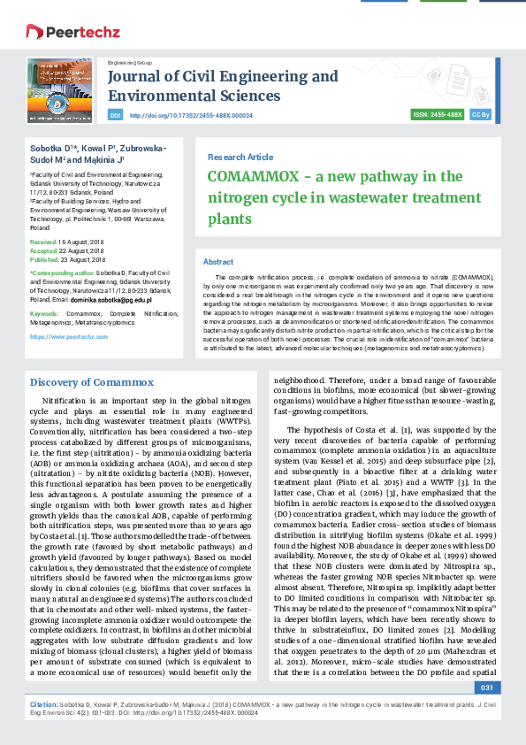 (PDF) COMAMMOX - a new pathway in the nitrogen cycle in wastewater ...
