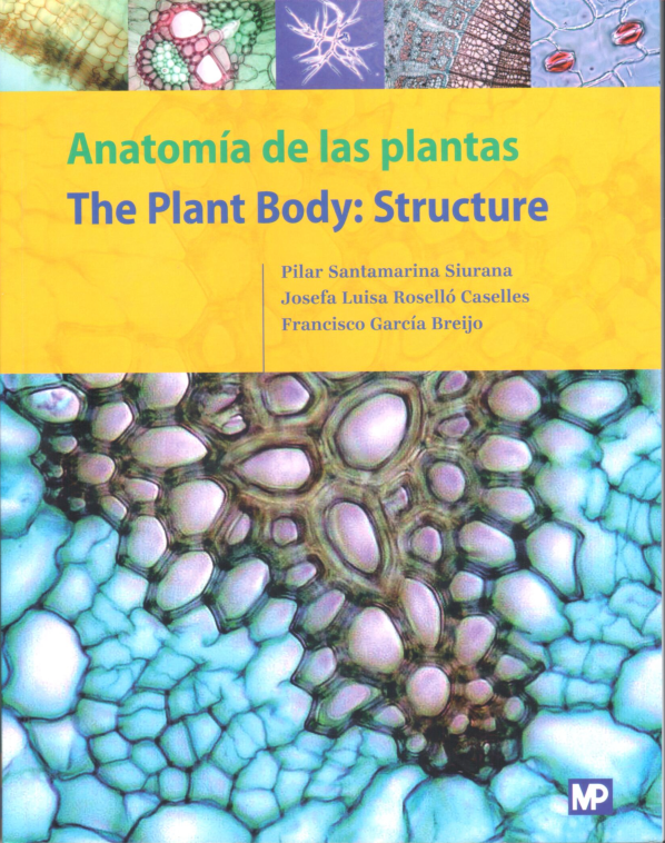 (PDF) The Plant Body: Structure (Anatomía de las Plantas)