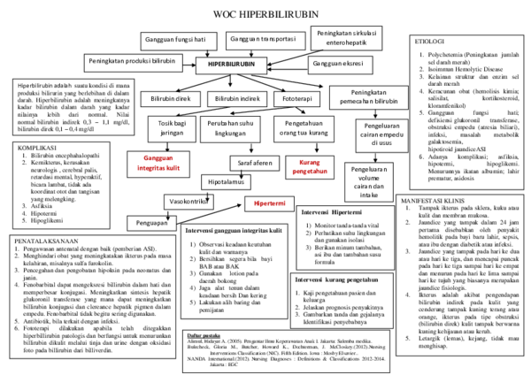 (DOC) WOC HIPERBILIRUBIN