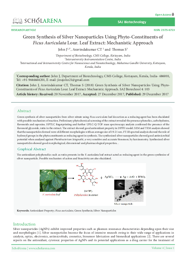 (PDF) Green Synthesis of Silver Nanoparticles Using Phyto-Constituents of Ficus Auriculata Lour ...