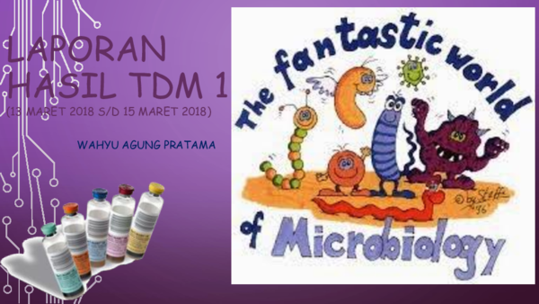 (PDF) LAPORAN HASIL TDM 1