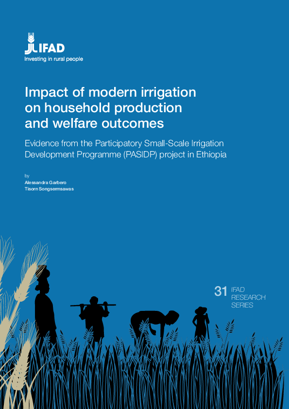 (PDF) IFAD RESEARCH SERIES 31 - Impact of modern irrigation on ...