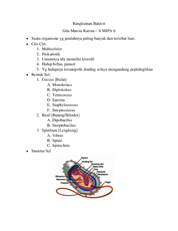 (DOC) Rangkuman Bakteri
