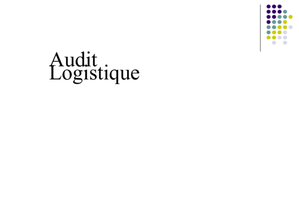 (PDF) Audit Logistique