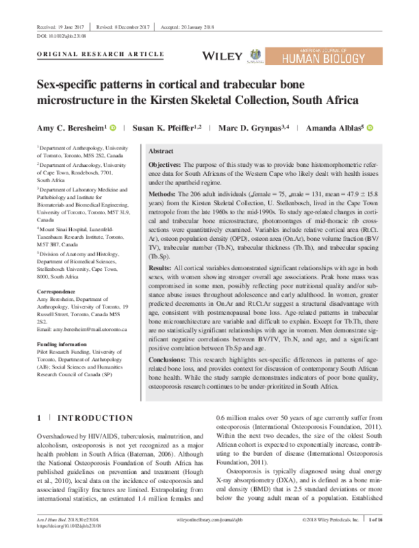 Pdf Sex Specific Patterns In Cortical And Trabecular Bone