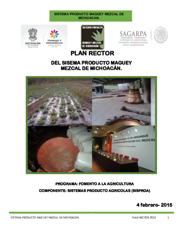 (PDF) SISTEMA PRODUCTO MAGUEY MEZCAL DE MICHOACAN. PLAN RECTOR DEL ...