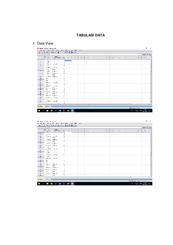 (DOC) TABULASI DATA 1. Data View