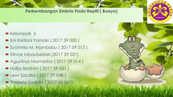 (PPT) Struktur perkembangan embrio pada buaya sph.pptx | Syahmia Maisyaroh - Academia.edu