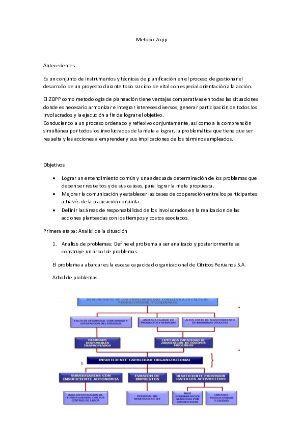 (DOC) Metodo Zopp