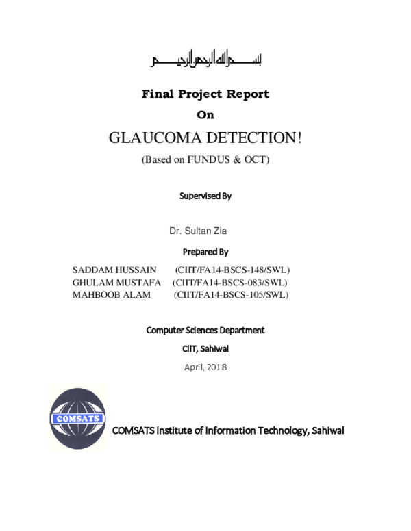 (DOC) Final Project Report GLAUCOMA DETECTION! (Based on FUNDUS & OCT