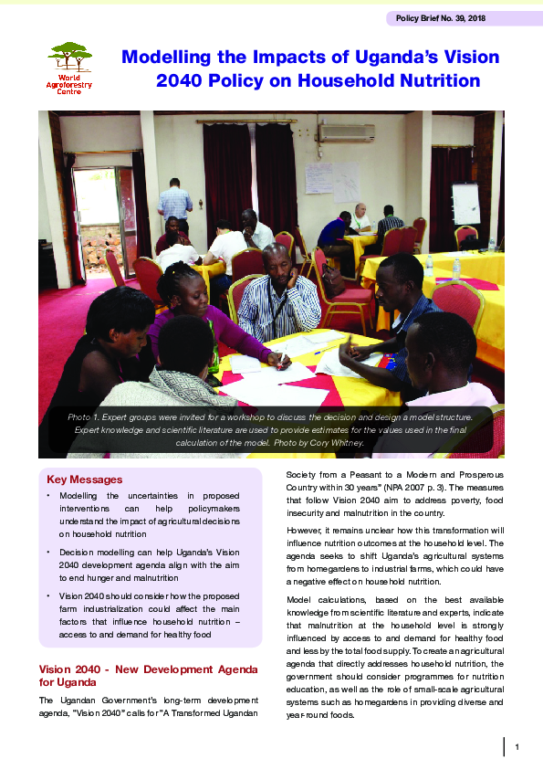 (PDF) Modelling the Impacts of Uganda's Vision 2040 Policy on Household ...