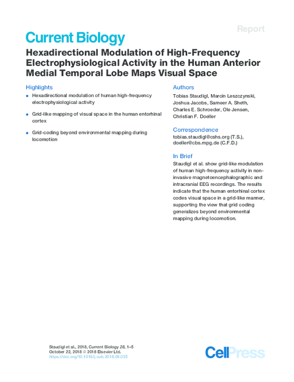 (PDF) Grid-like Coding in Human Visual Space