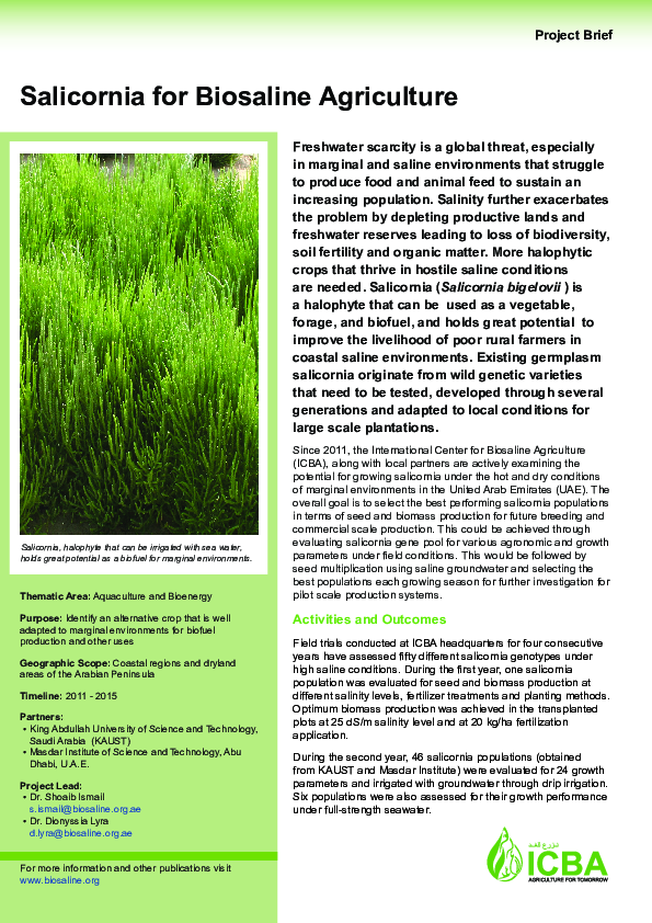 (PDF) Salicornia for Biosaline Agriculture
