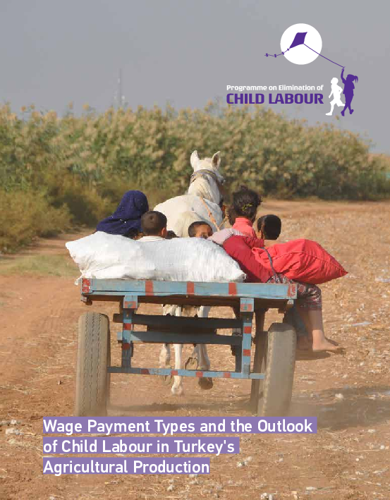 (PDF) Wage Payment Types and the Outlook of Child Labour in Turkey's ...