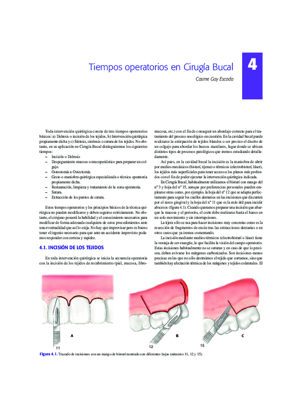 (PDF) Ciru