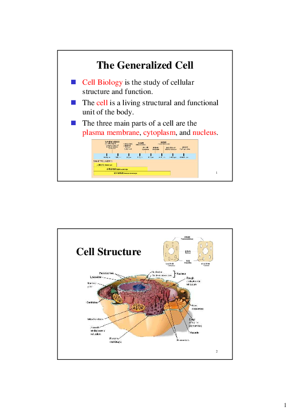The Generalized Cell