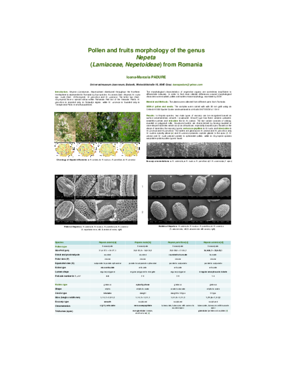 (PDF) Pollen and fruits morphology of the genus Nepeta L. (Lamiaceae ...