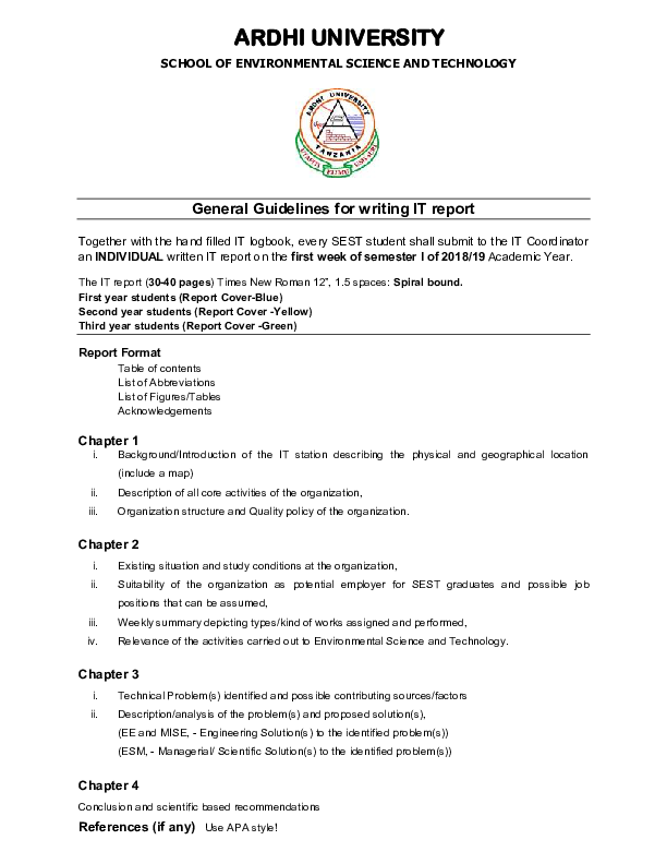 (PDF) IT REPORT FORMAT