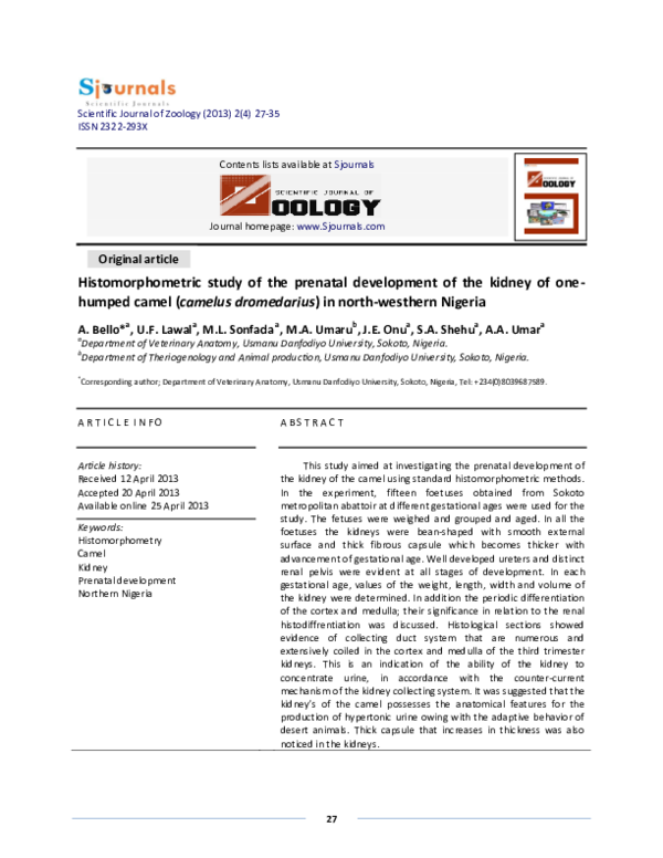 (PDF) camel kidney SJ.pdf