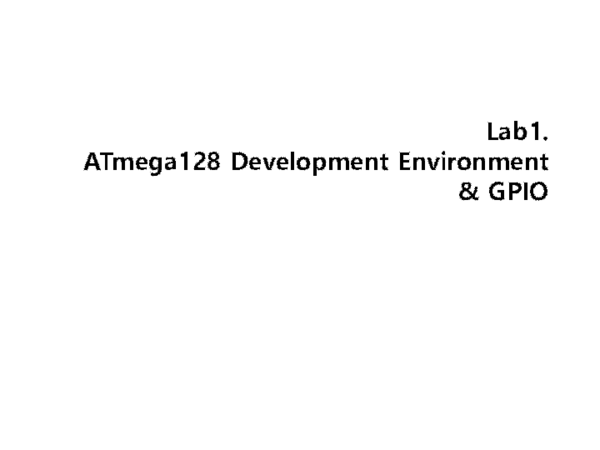 (PPT) Lab1 ATmega128 Environment, GPIO