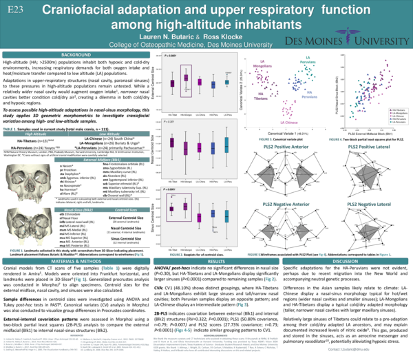 (PDF) Craniofacial adaptation and upper respiratory function among high ...