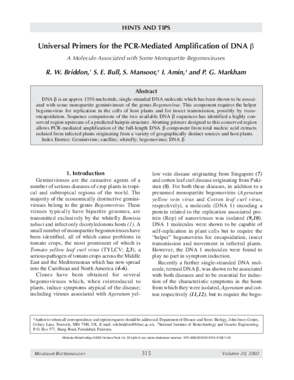 (PDF) Universal Primers for the PCR-Mediated Amplification of DNA β A ...