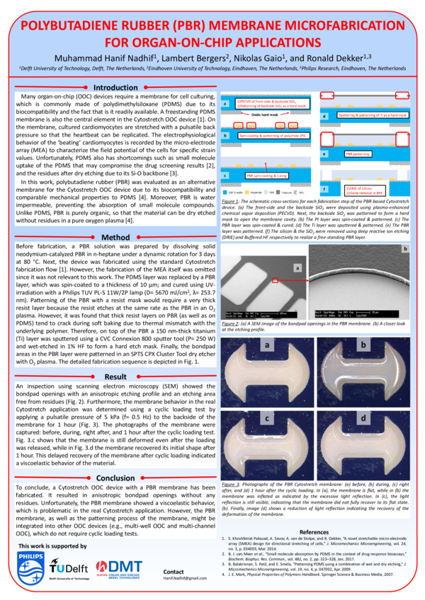 (PDF) POLYBUTADIENE RUBBER (PBR) MEMBRANE MICROFABRICATION FOR ORGAN-ON ...
