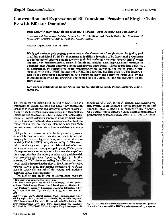 (PDF) Construction and Expression of Bi-Functional Proteins of Single ...
