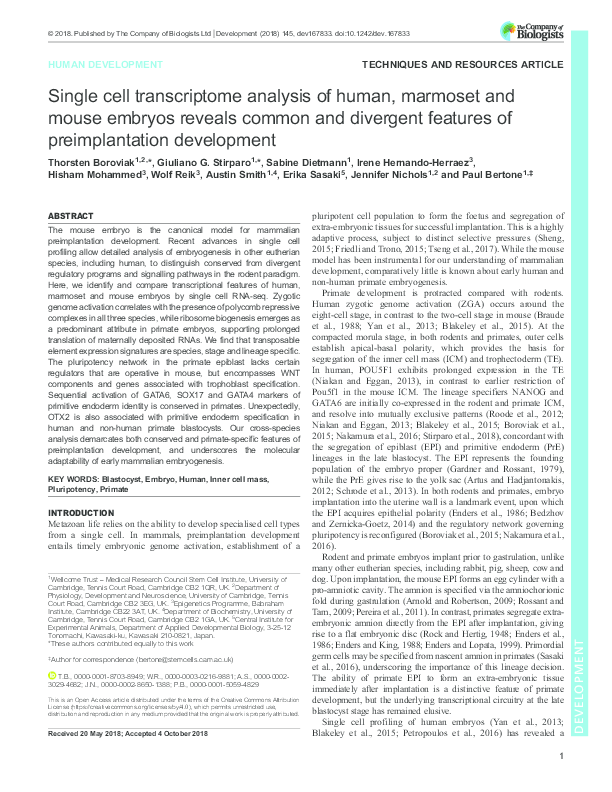 (PDF) Single cell transcriptome analysis of human, marmoset and mouse embryos reveals common and ...
