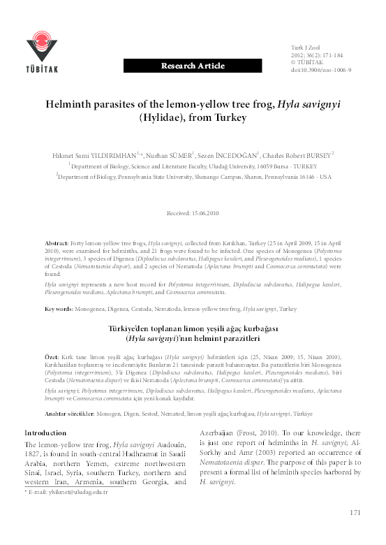 (PDF) Helminth parasites of the lemon-yellow tree frog, Hyla savignyi ...