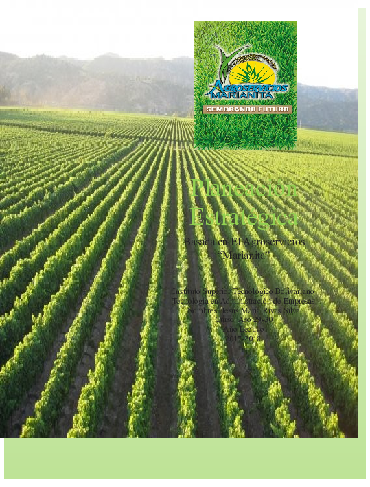 (DOC) JESUS MARIA RIVAS SILVA PLANEACION ESTRATEGICA